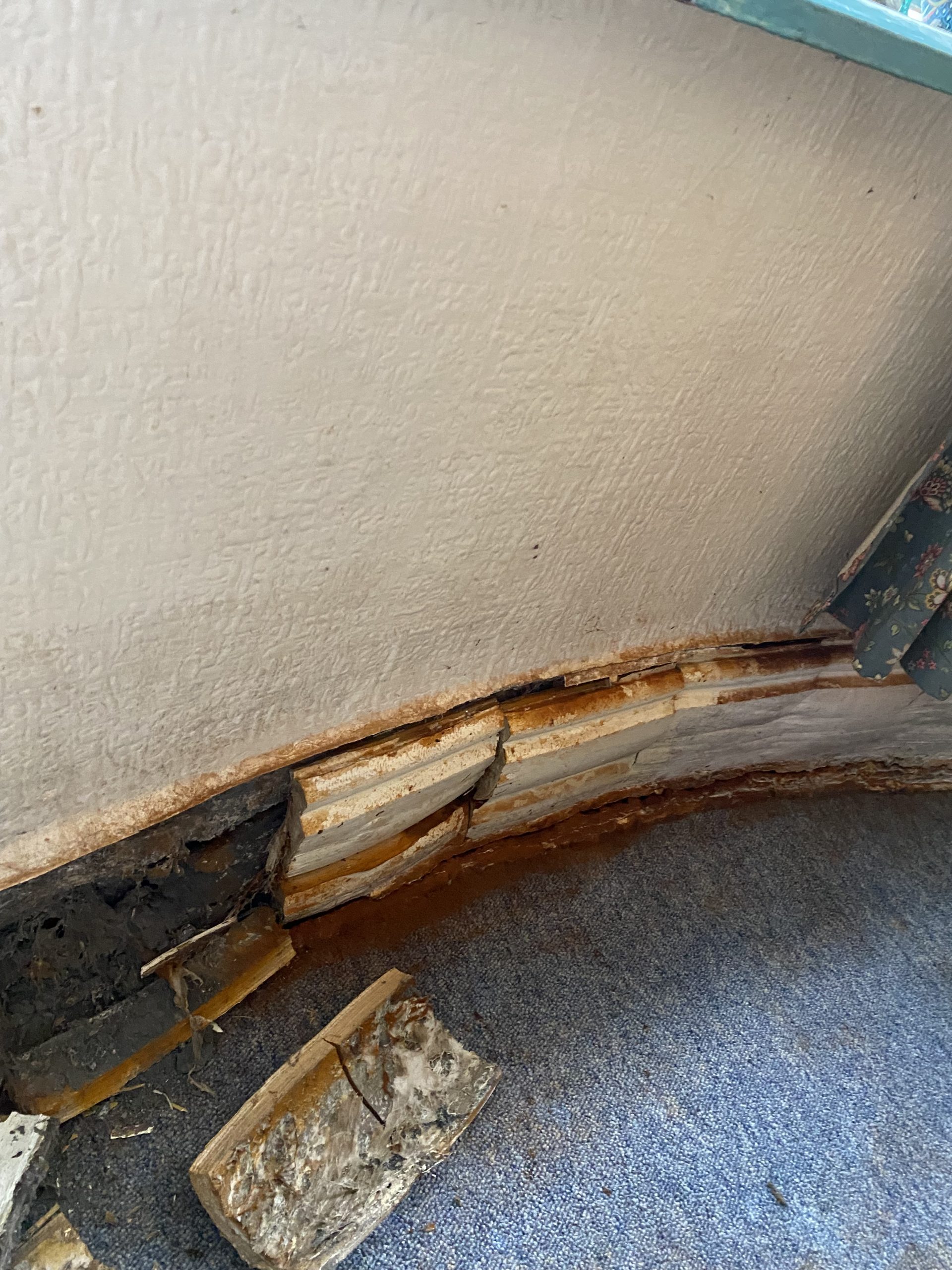 Building Contractors – Damp and Timber Experts